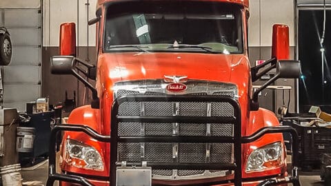 2-4 Deer/Elk a year can't stop this Ex-Guard! - Ex-Guard