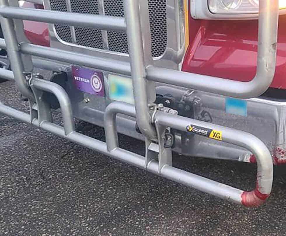 DEER COLLISIONS? WE'VE GOT YOU COVERED! - Ex-Guard